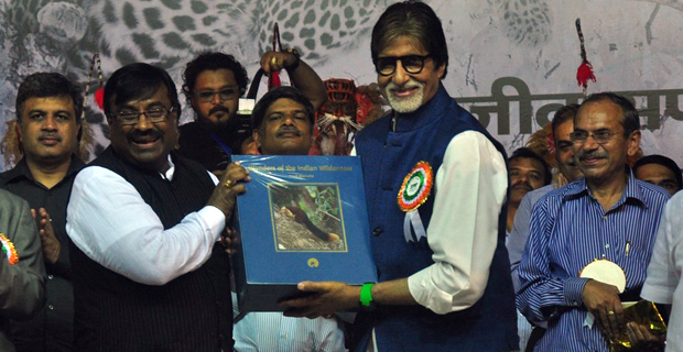 Amitabh Bachchan Announced As Tiger Ambassador Of Maharashtra ...