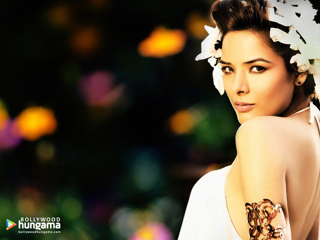 Udita Goswami Wallpapers | udita-goswami-6 - Bollywood Hungama