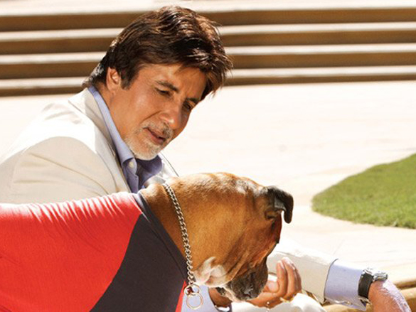 Amitabh Bachchan 1970 Wallpapers | Amitabh Bachchan 1970 HD Images ...