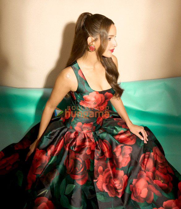 Triptii Dimri Photos, Images, HD Wallpapers, Triptii Dimri HD Images ...