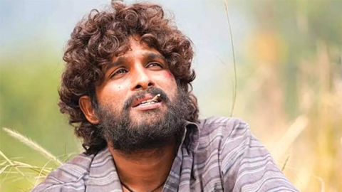 Pushpa: The Rise – Part 1 Box Office Collection | India | Day Wise ...