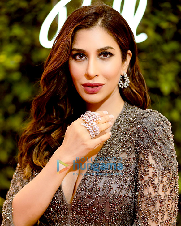 Sophie Choudry Photos, Images, HD Wallpapers, Sophie Choudry HD Images ...