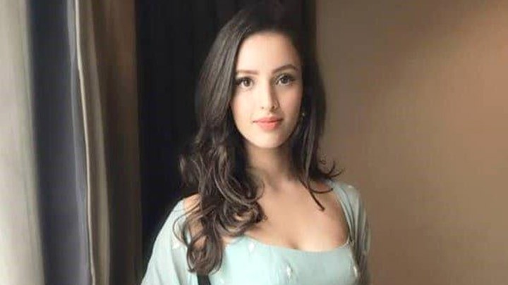 Seema Mane shares a beautiful reel of Tripti Dimri - Bollywood Hungama