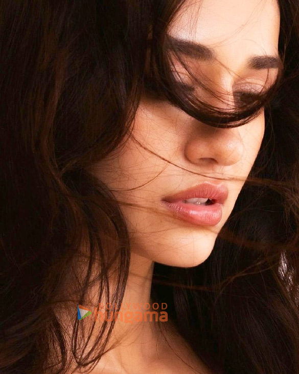 Disha Patani Photos, Images, HD Wallpapers, Disha Patani HD Images ...