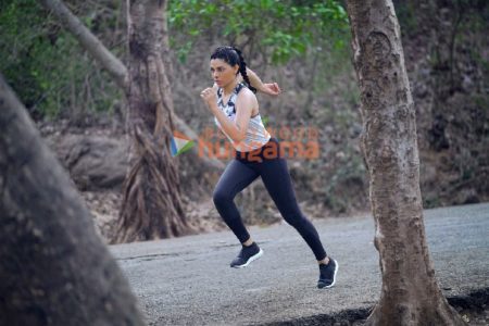 Ghoomer Cast List | Ghoomer Movie Star Cast | Release Date | Movie ...