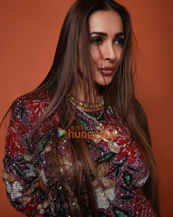 Malaika Arora Photos, Images, HD Wallpapers, Malaika Arora HD Images ...