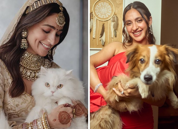 National Pet Day: From Alia Bhatt to Akansha Ranjan Kapoor, Bollywood ...